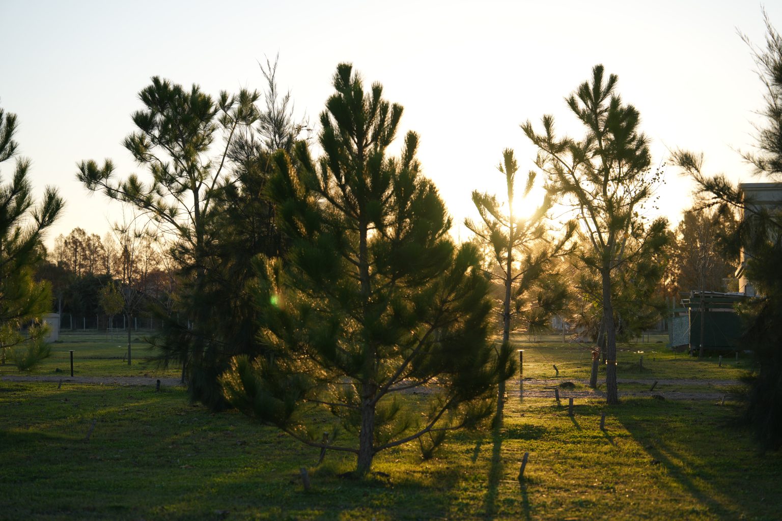 Inicio - Pride Canning